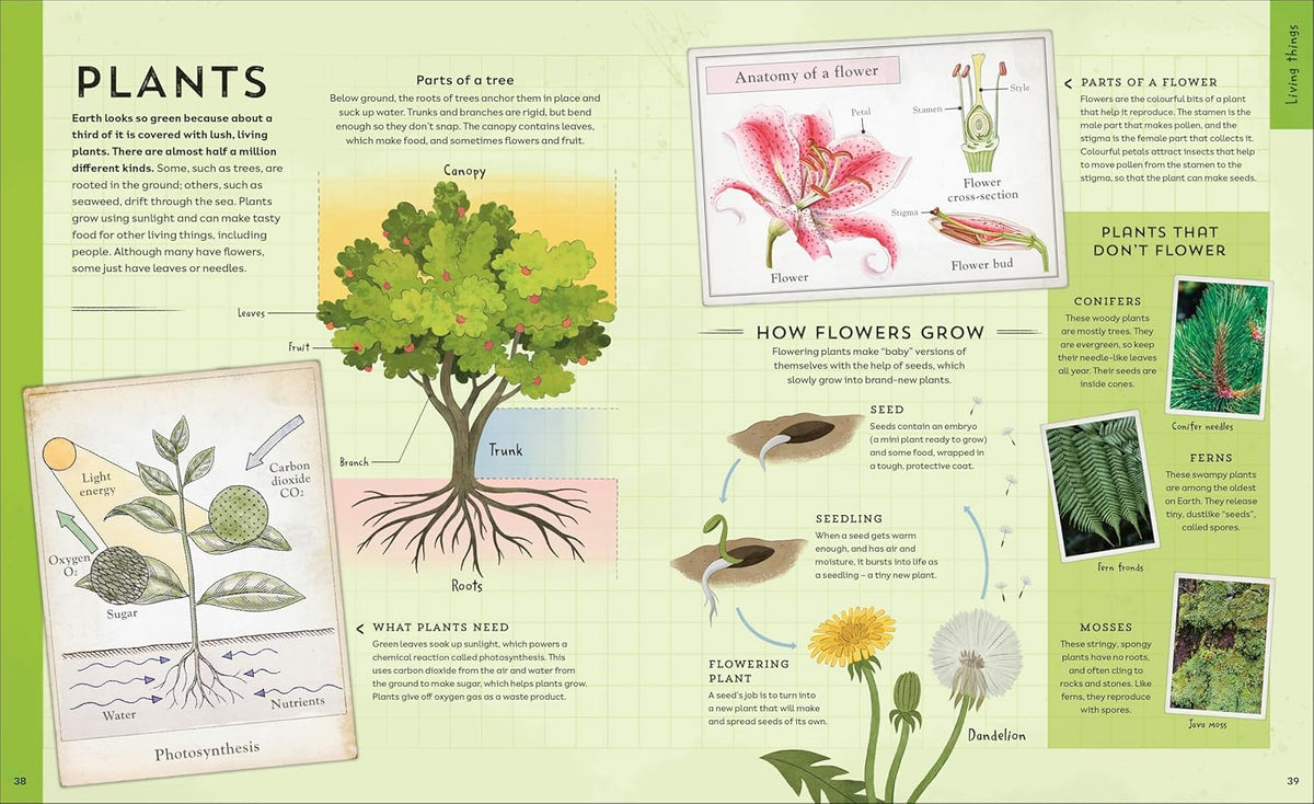 Explore: Science A Visual Journey Through Our World -DK – EmmasatOxford